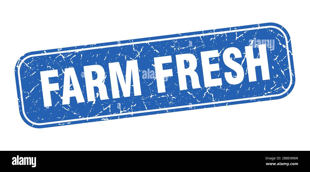 farm fresh stamp. farm fresh square grungy blue sign Stock Vector Image ...