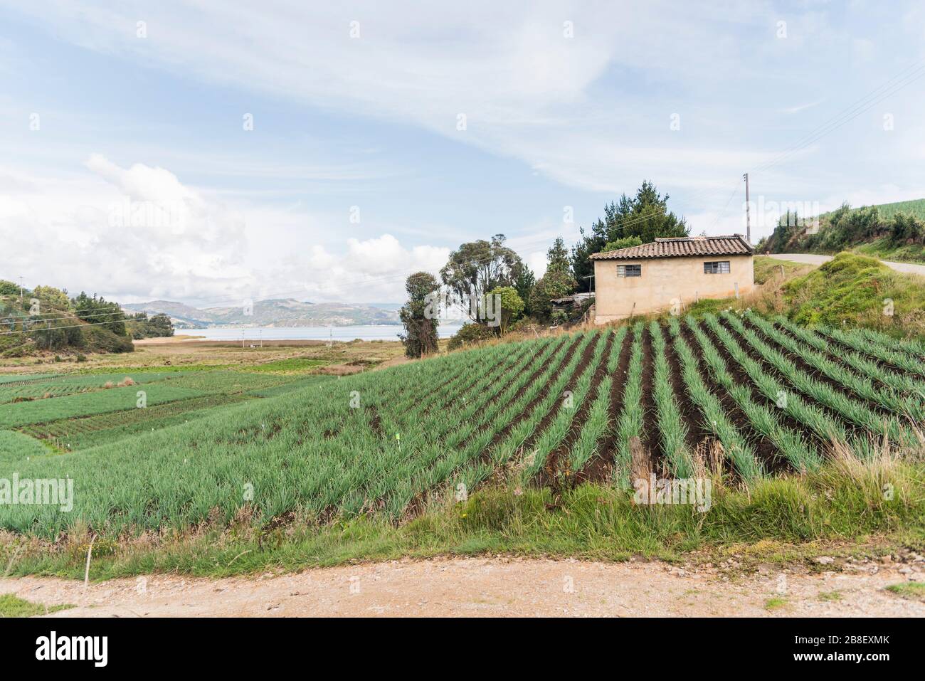 Aquitania, Boyaca / Colombia; April 8, 2018: Rural Andean landscape ...