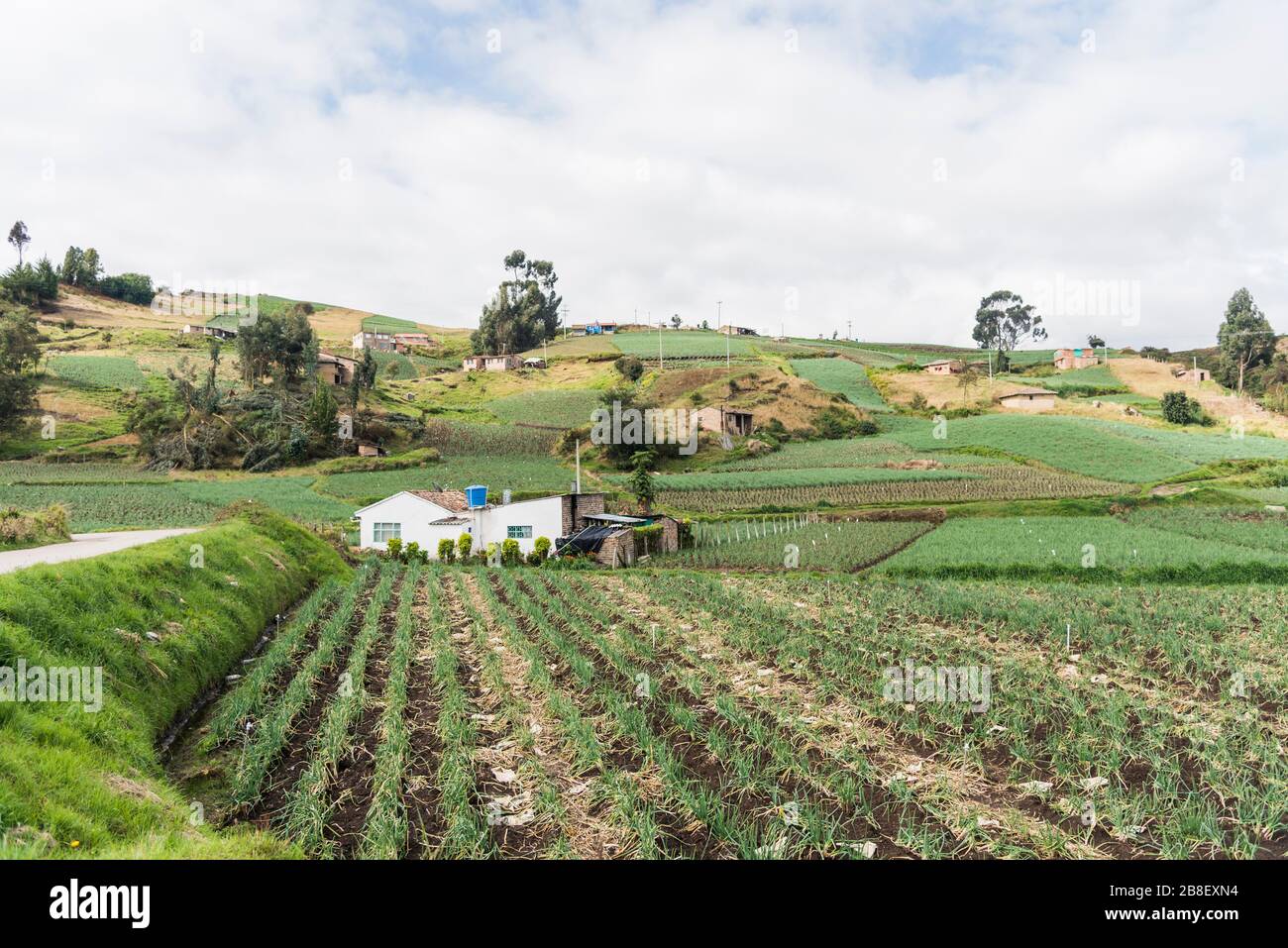 Aquitania, Boyaca / Colombia; April 8, 2018: Rural Andean landscape ...