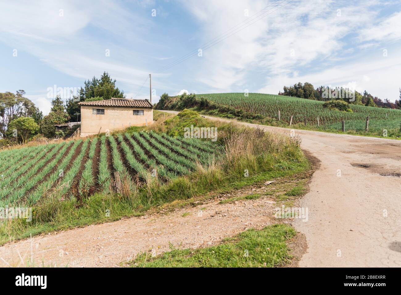 Aquitania, Boyaca / Colombia; April 8, 2018: Rural Andean landscape ...