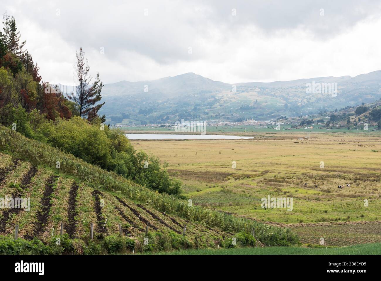 Aquitania, Boyaca / Colombia; April 8, 2018: Rural Andean landscape ...