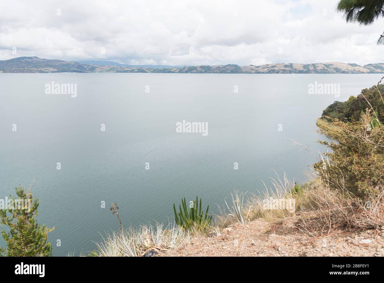 Tota boyaca hi-res stock photography and images - Alamy