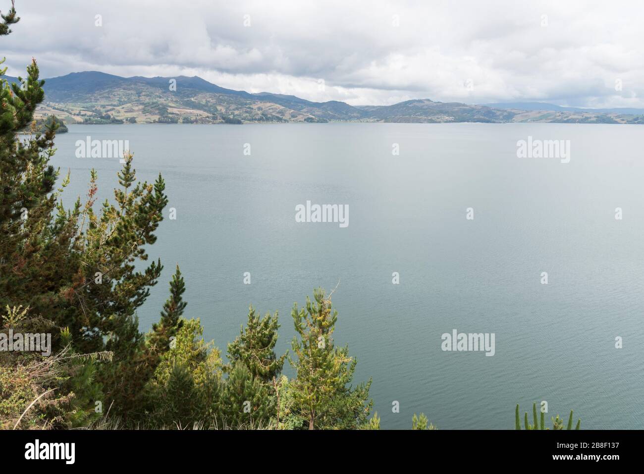 Tota boyaca hi-res stock photography and images - Alamy