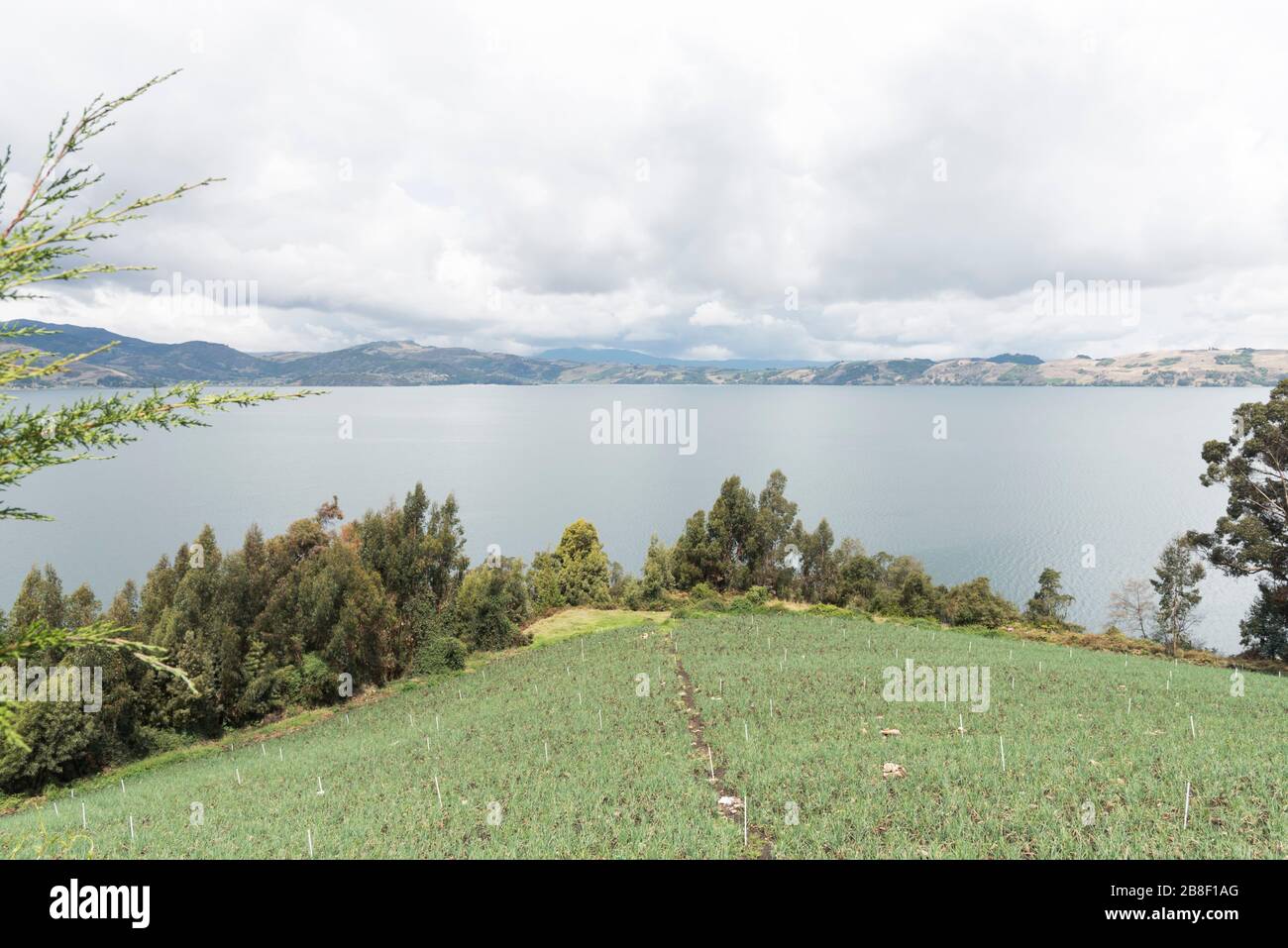 Aquitania, Boyaca / Colombia; April 8, 2018: Rural Andean landscape ...