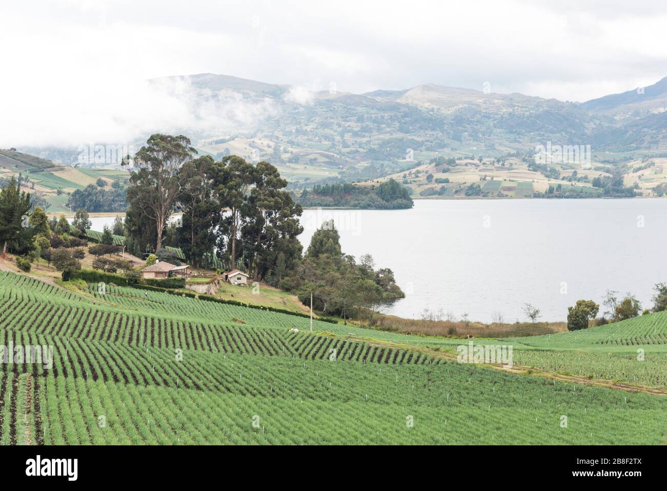 Aquitania, Boyaca / Colombia; April 8, 2018: Andean landscape, rural ...