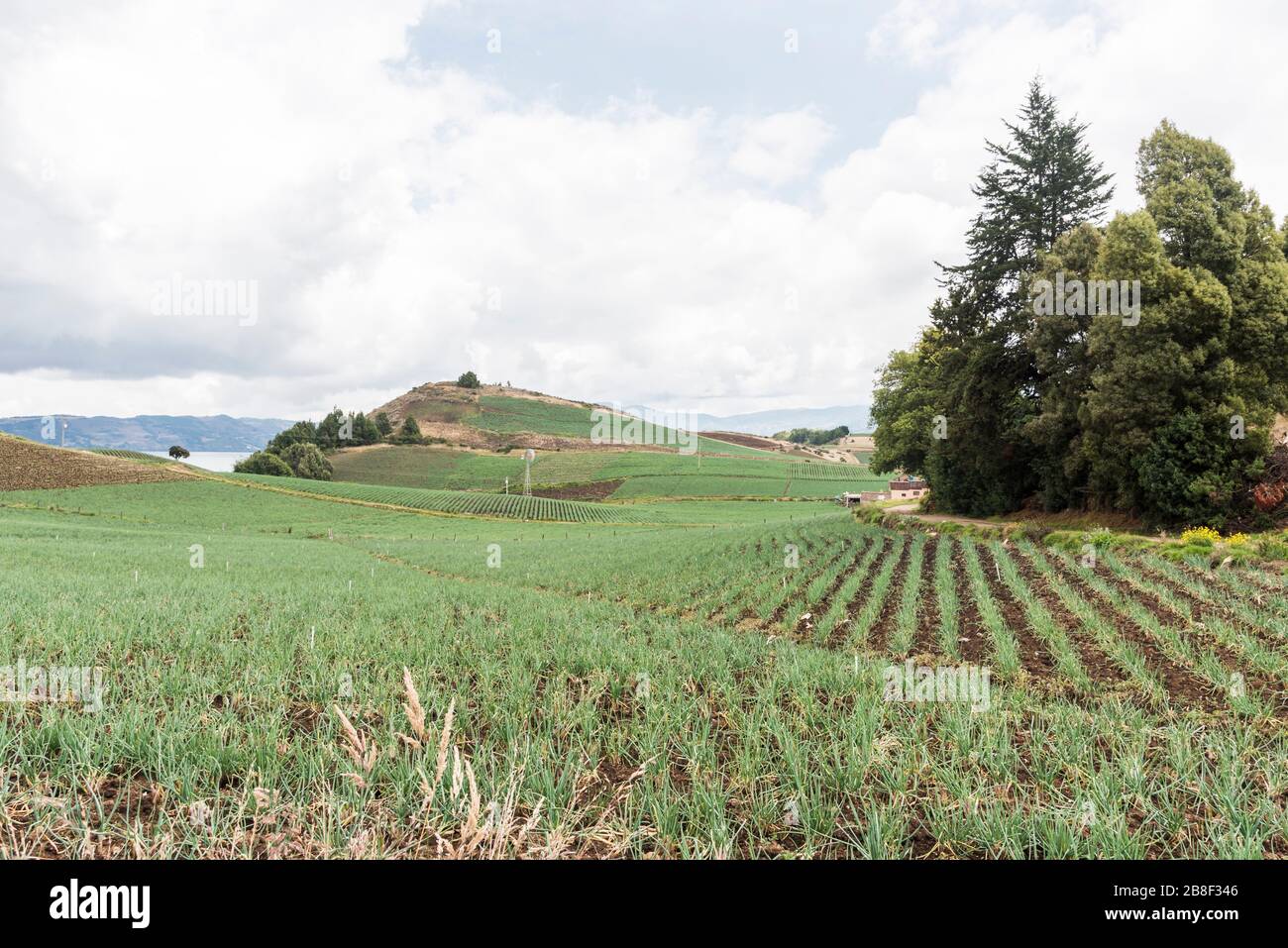 Aquitania, Boyaca / Colombia; April 8, 2018: Rural Andean landscape ...