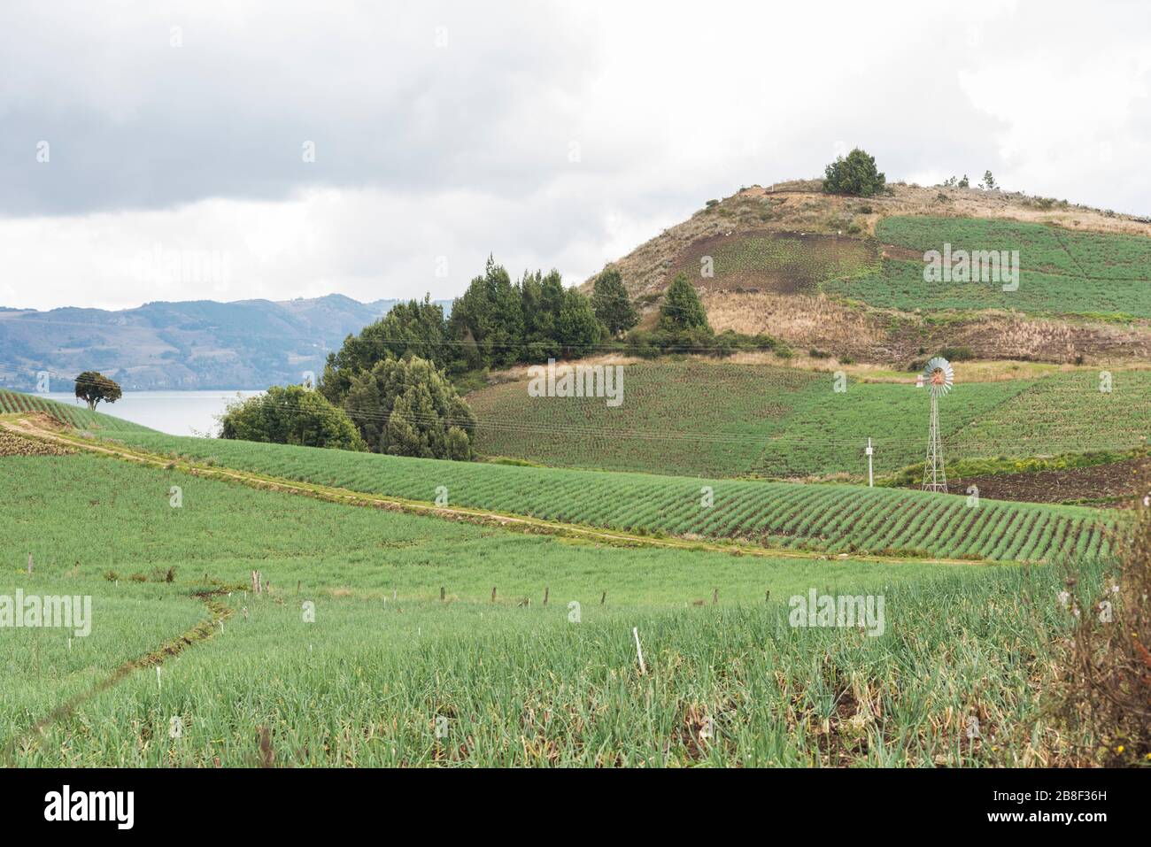 Aquitania, Boyaca / Colombia; April 8, 2018: Rural Andean landscape ...