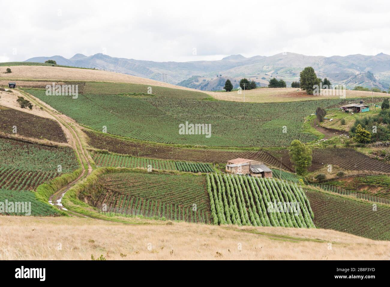Aquitania, Boyaca / Colombia; April 8, 2018: Andean landscape, rural ...