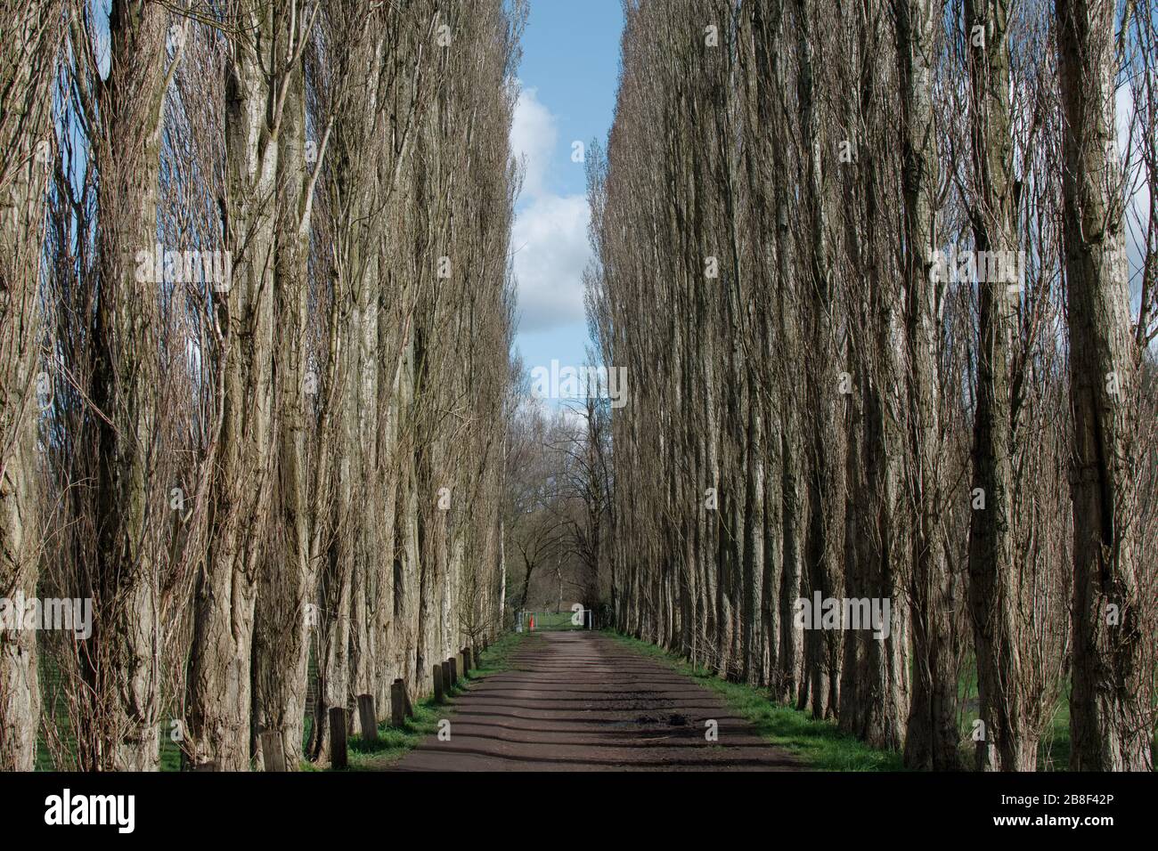 Manchester poplar hi-res stock photography and images - Alamy