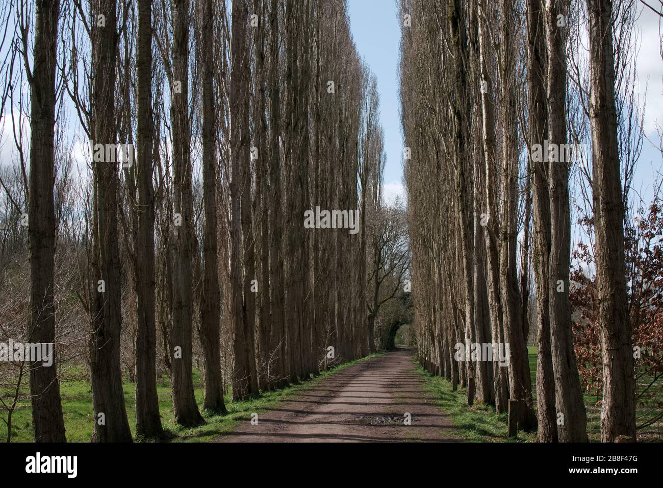 Fletcher moss botanical gardens hi-res stock photography and images - Alamy