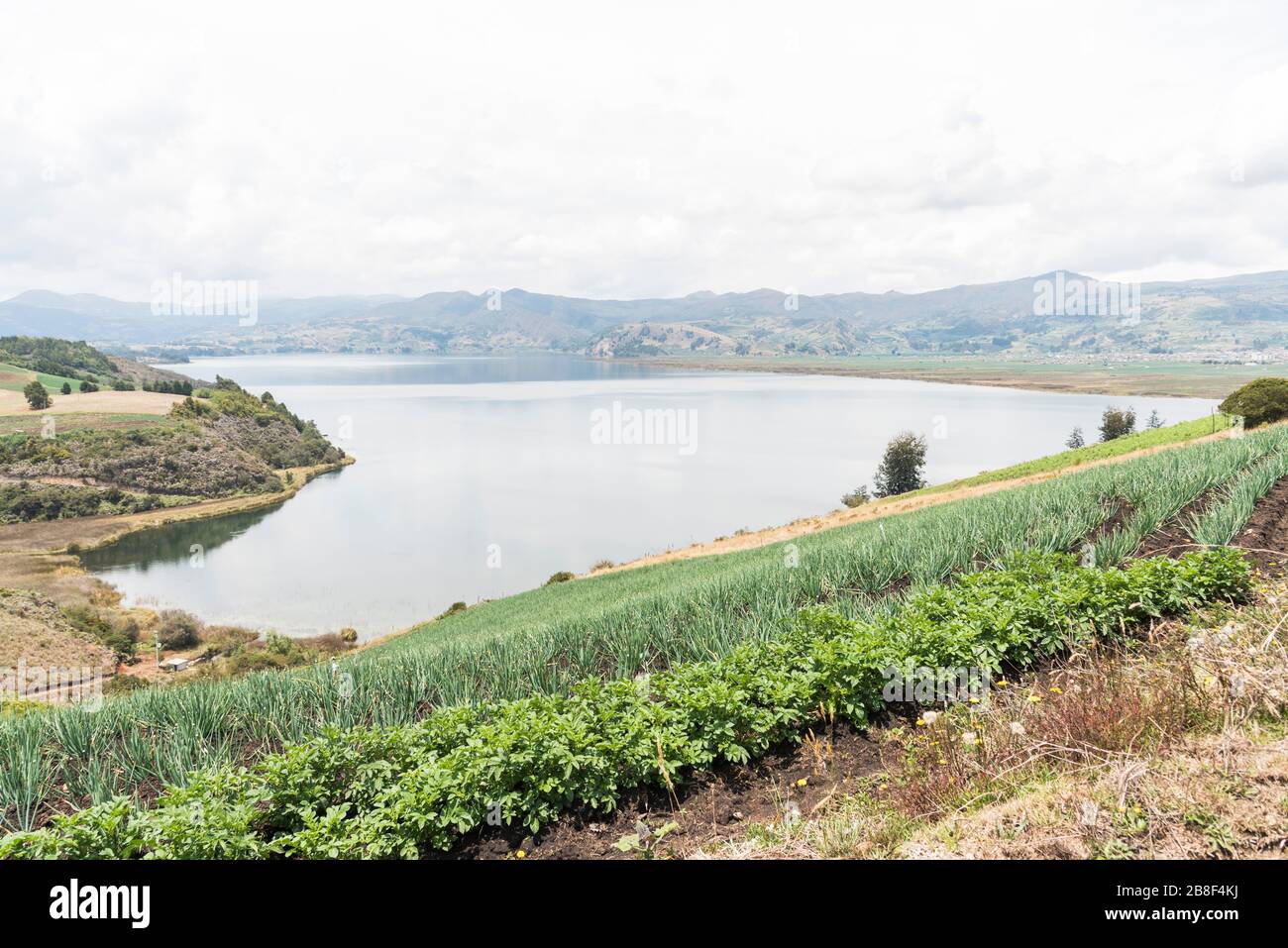 Aquitania, Boyaca / Colombia; April 8, 2018: Rural Andean landscape ...