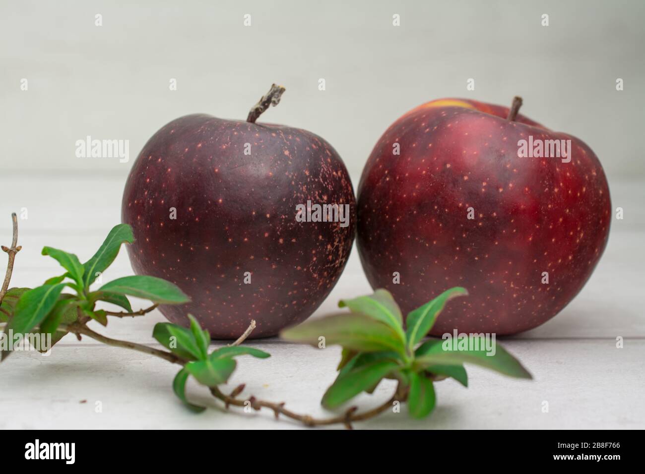 apple fruit on white background Stock Photo - Alamy