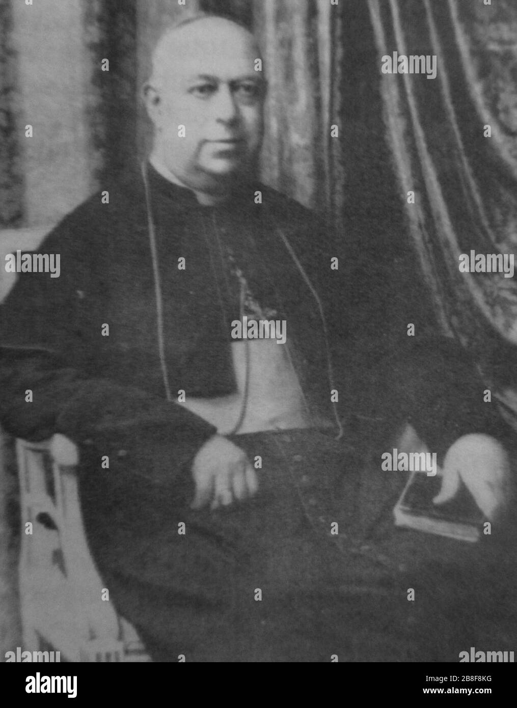 Volpi hi-res stock photography and images - Alamy