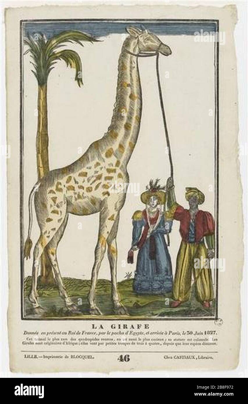 Girafe paris hi-res stock photography and images - Alamy