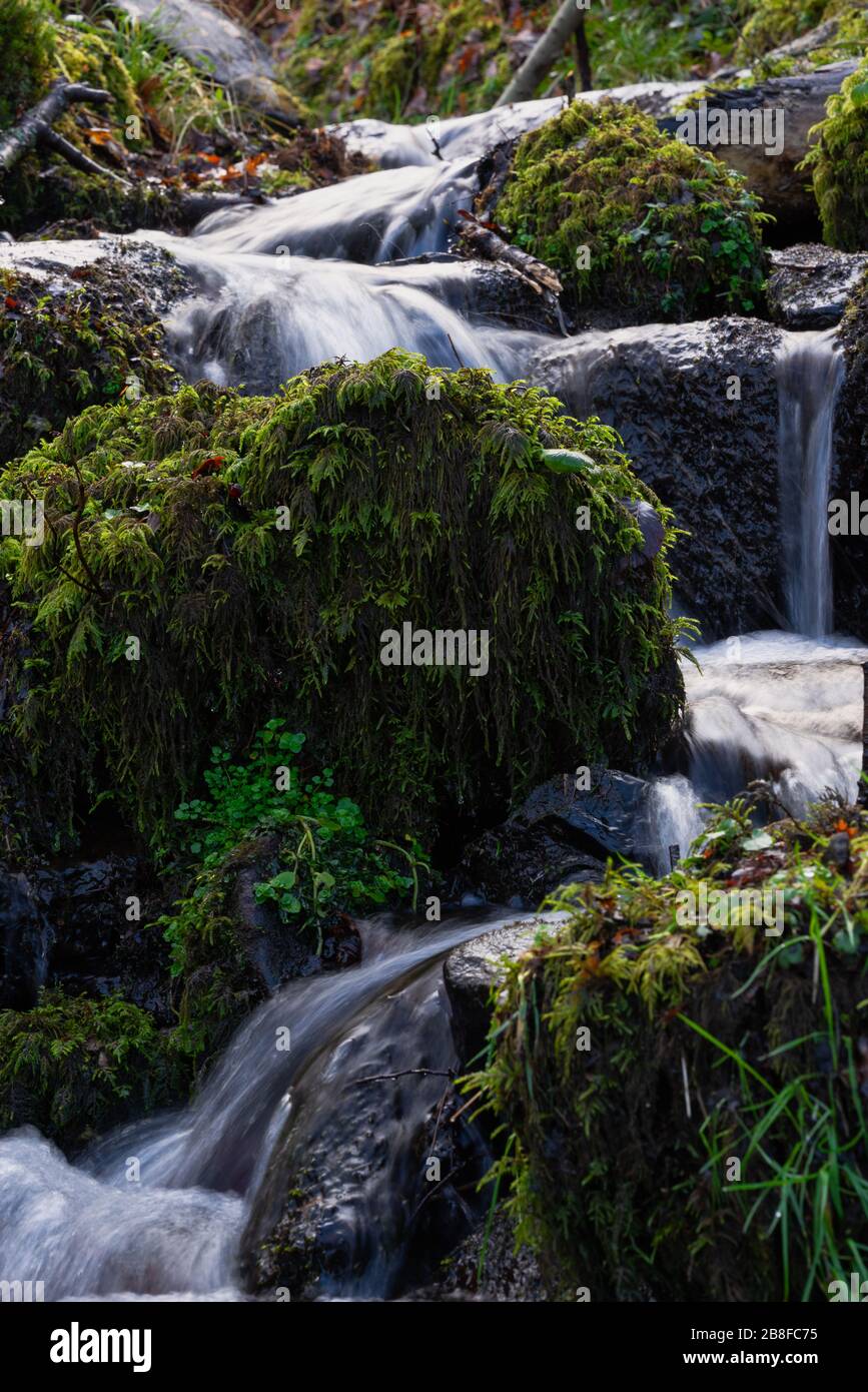 Small stream flowing through autumn hi-res stock photography and images ...