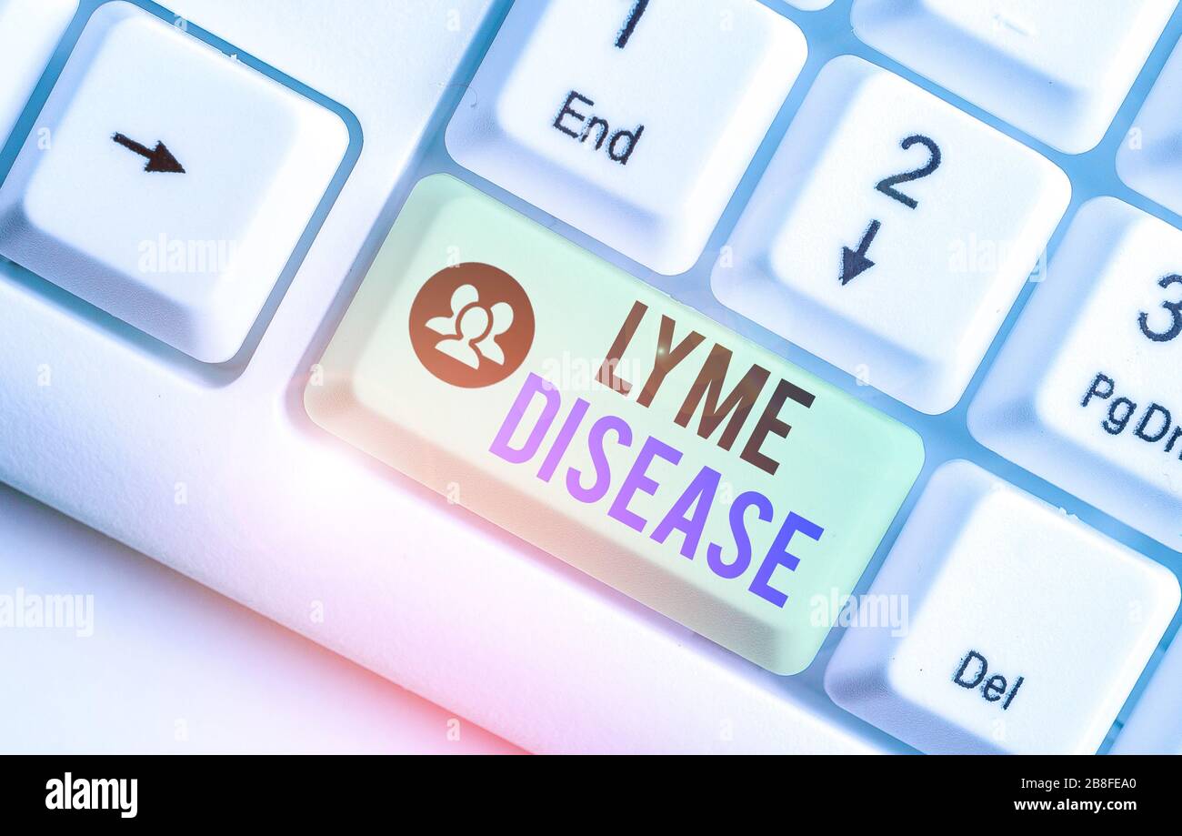 Text sign showing Lyme Disease. Business photo showcasing an ...