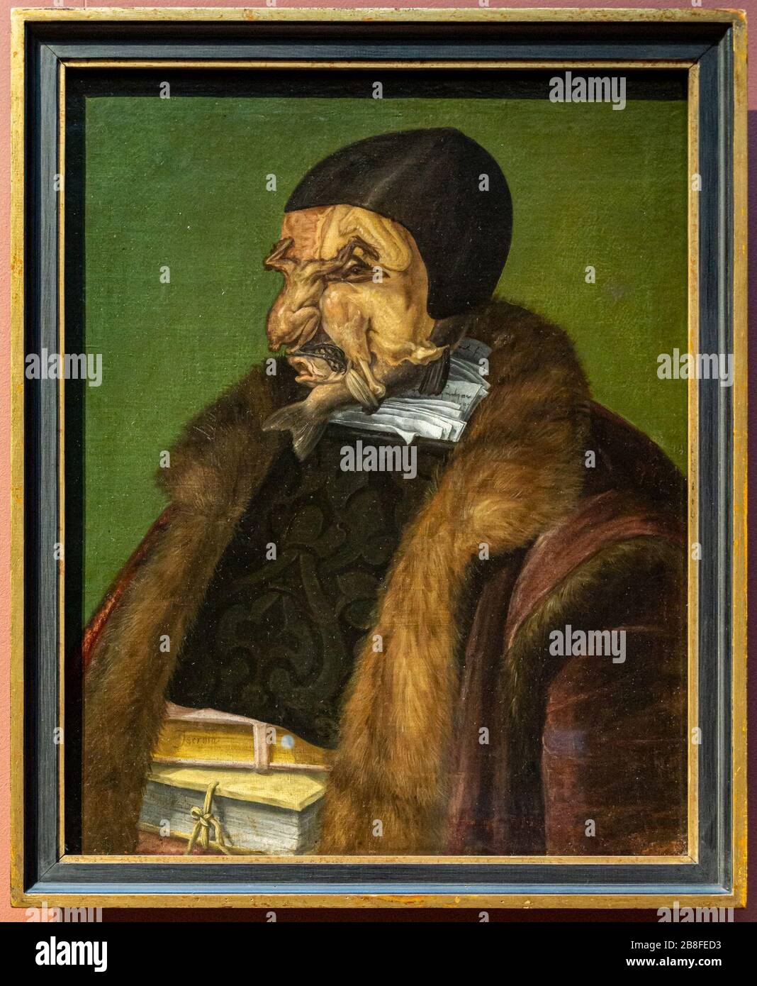 Giuseppe Arcimboldo - The Jurist DSC6858 Stock Photo - Alamy