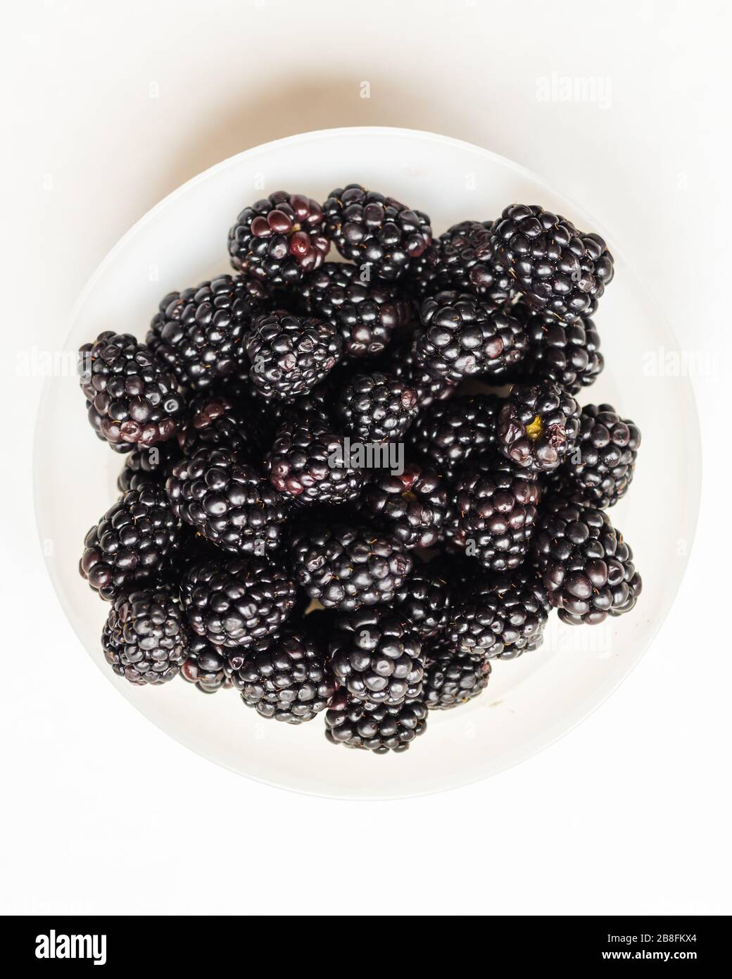 A white bowl of juicy blackberries fruit isolated on a white background ...