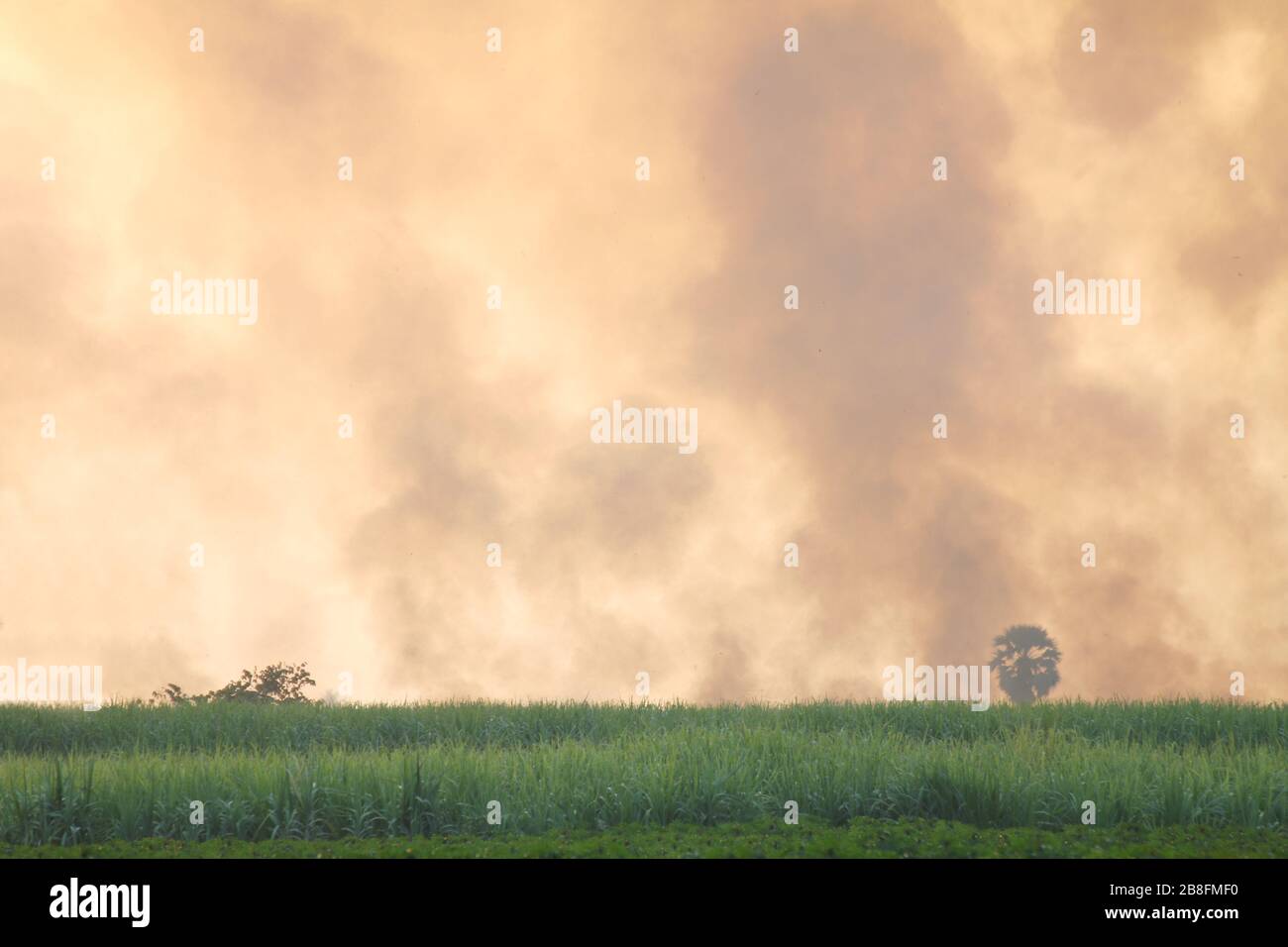 Sky smog pollution atmosphere, Blurred sky sunlight cloud air pollution ...