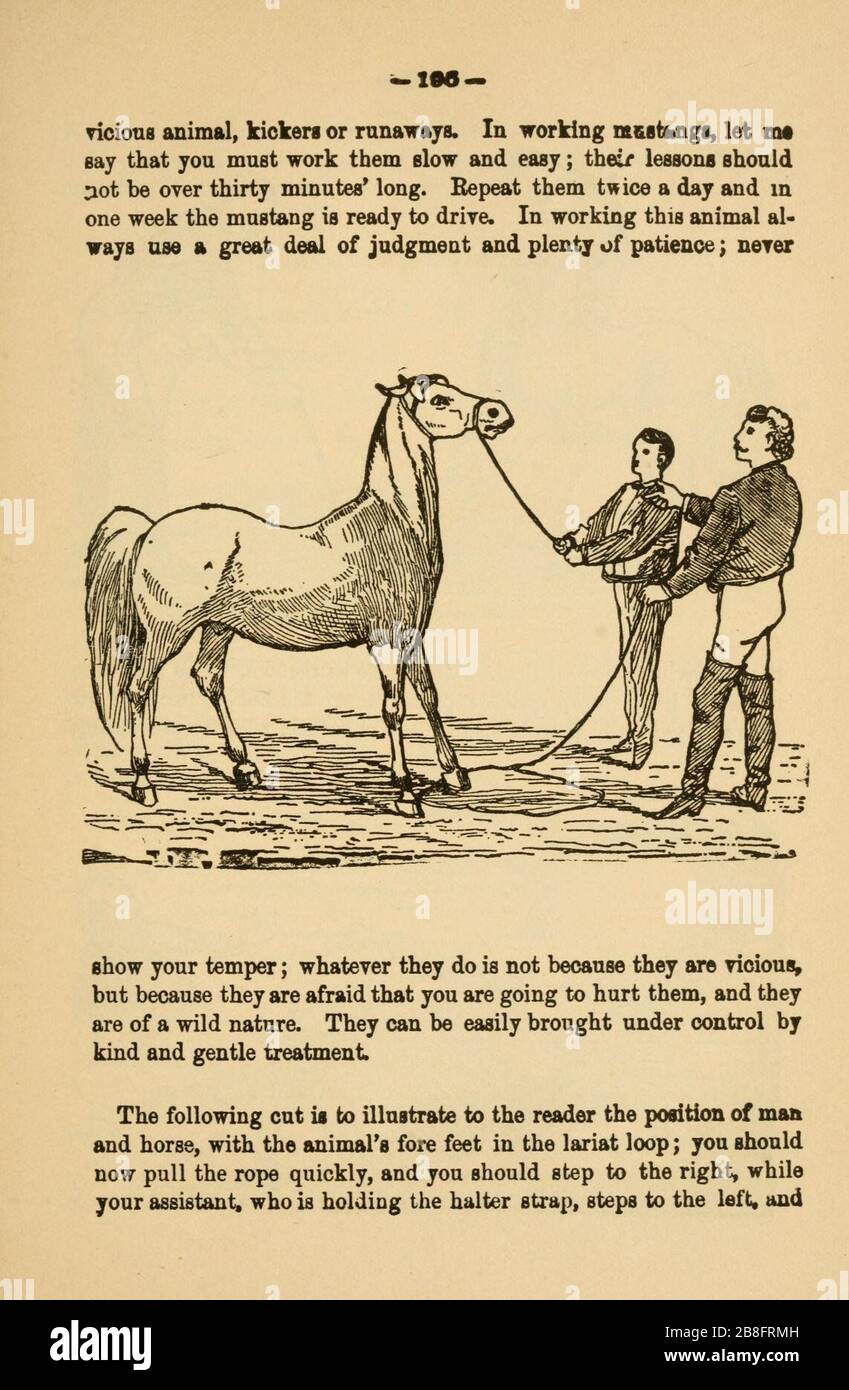 Gleason's horse book (Page 195 Stock Photo - Alamy