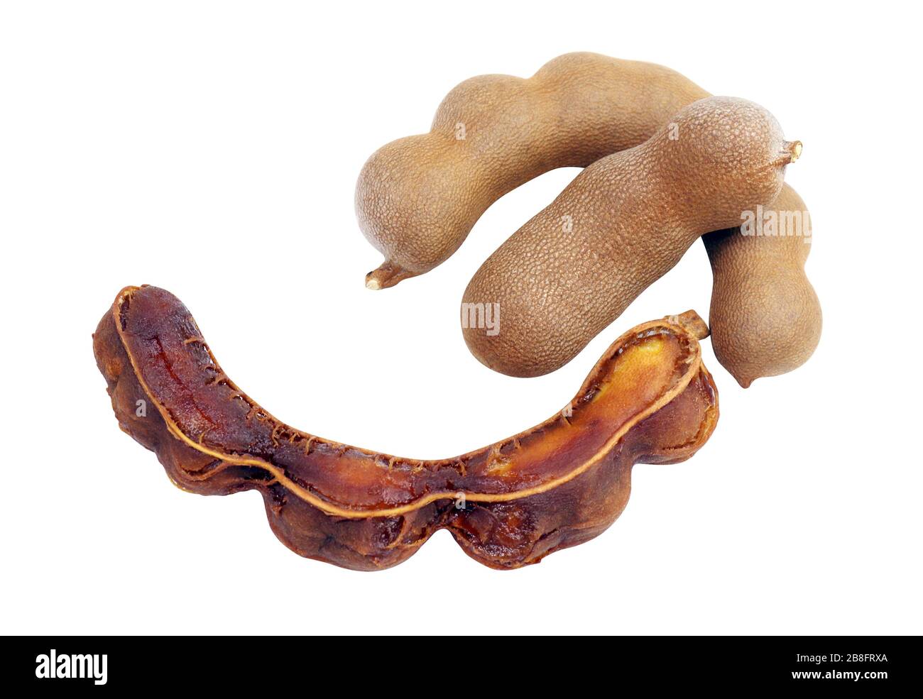 tamarind, sweet tamarind, brown tamarind, tamarind peel isolated on ...