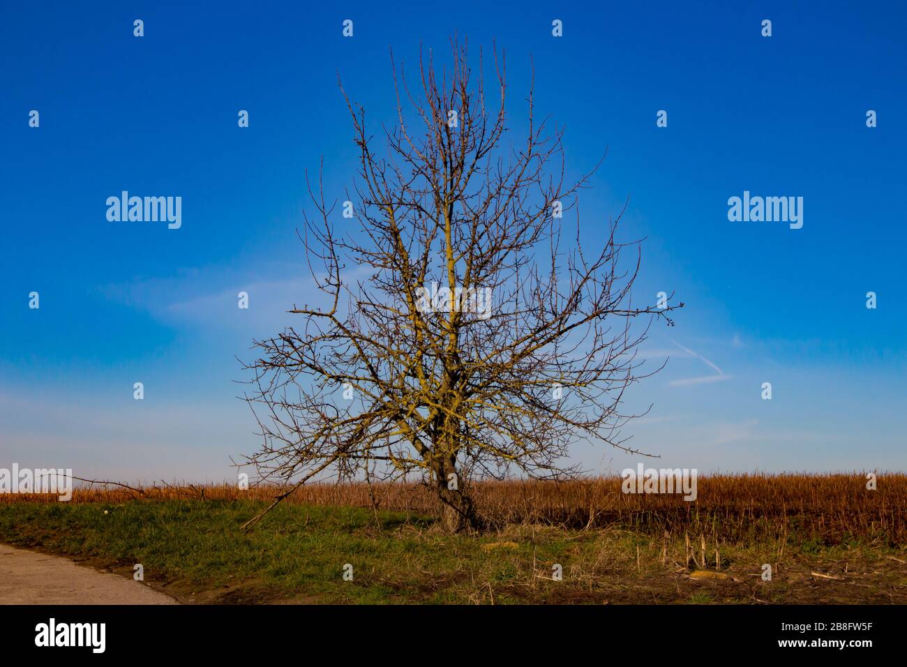 Blue sky and misty landscape hi-res stock photography and images - Alamy