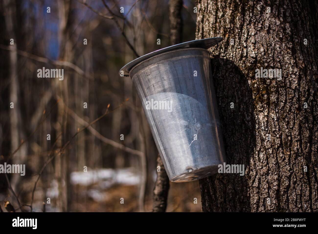 Maplewater hi-res stock photography and images - Alamy