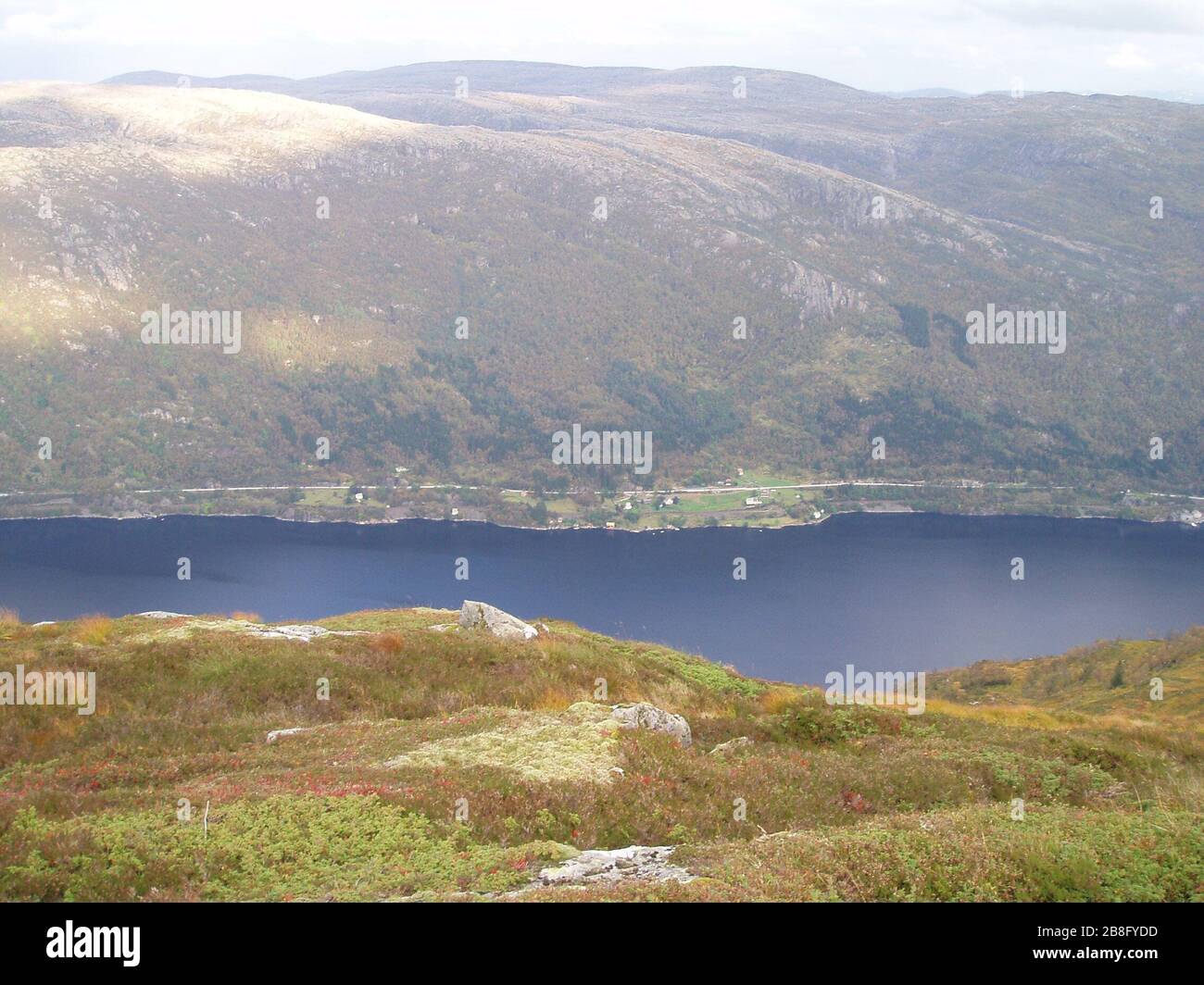 Fossmark hi-res stock photography and images - Alamy