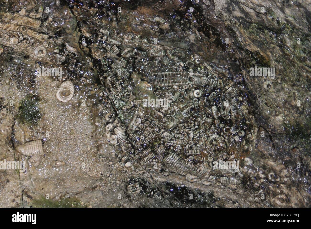 Treak cliff cavern hi-res stock photography and images - Alamy