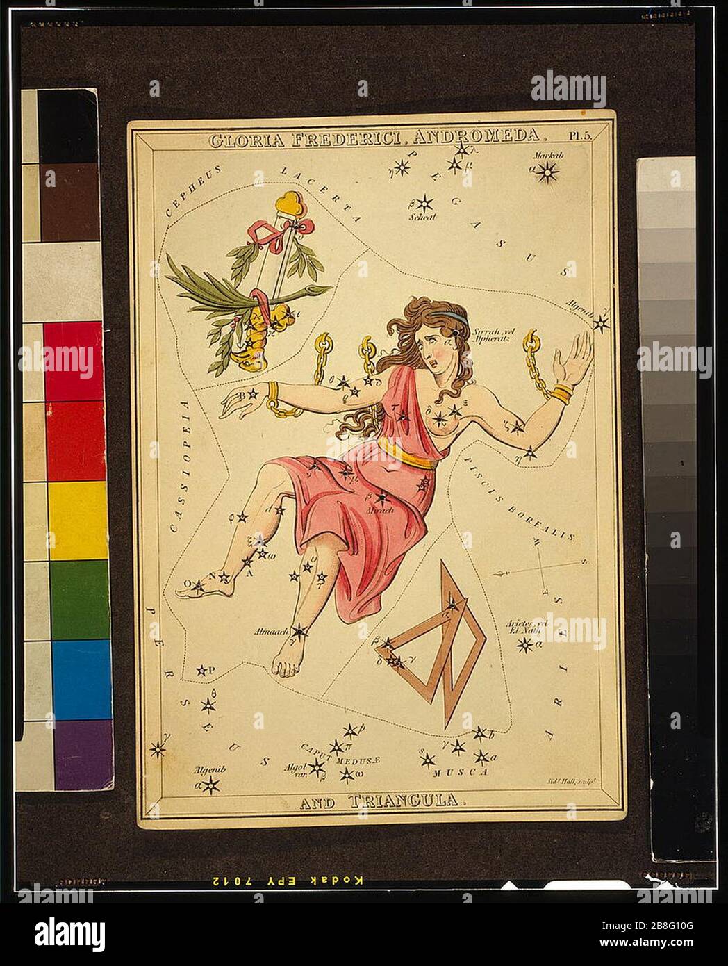 Triangula hi-res stock photography and images - Alamy