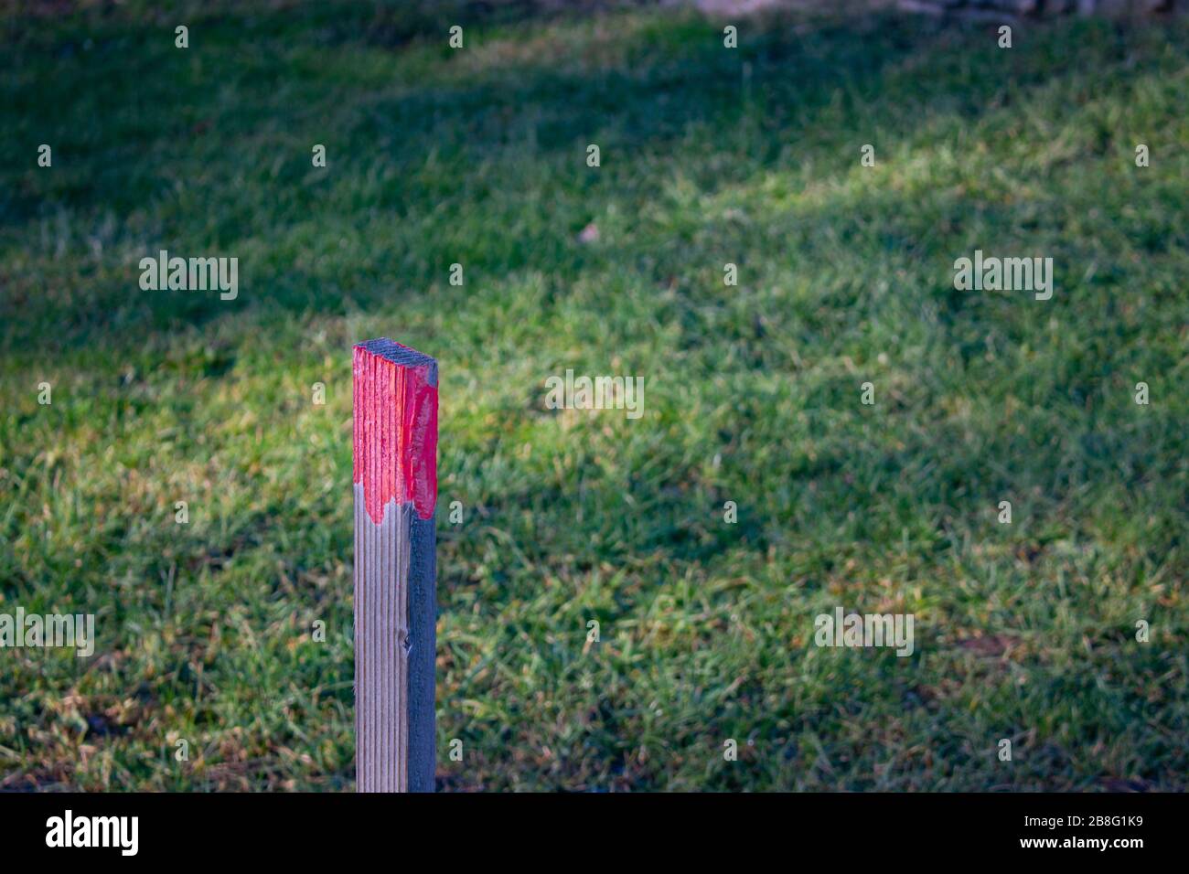 Wooden stake with red painted top standing in the grass, focus on pole ...