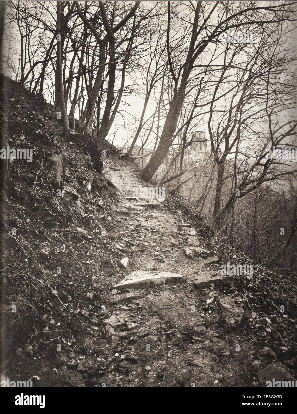 Steiler hi-res stock photography and images - Alamy