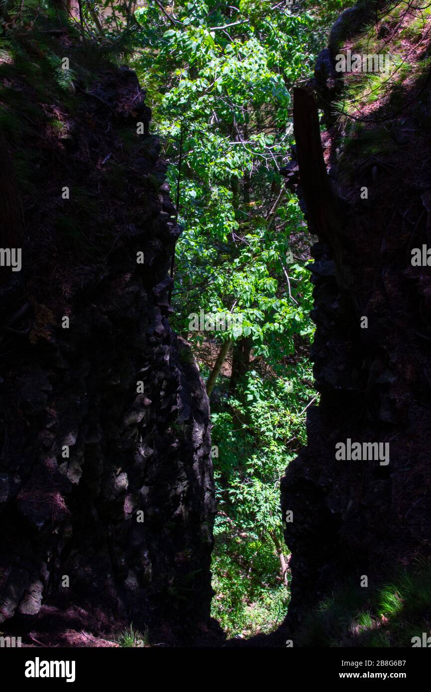 Crevice garden hi-res stock photography and images - Alamy