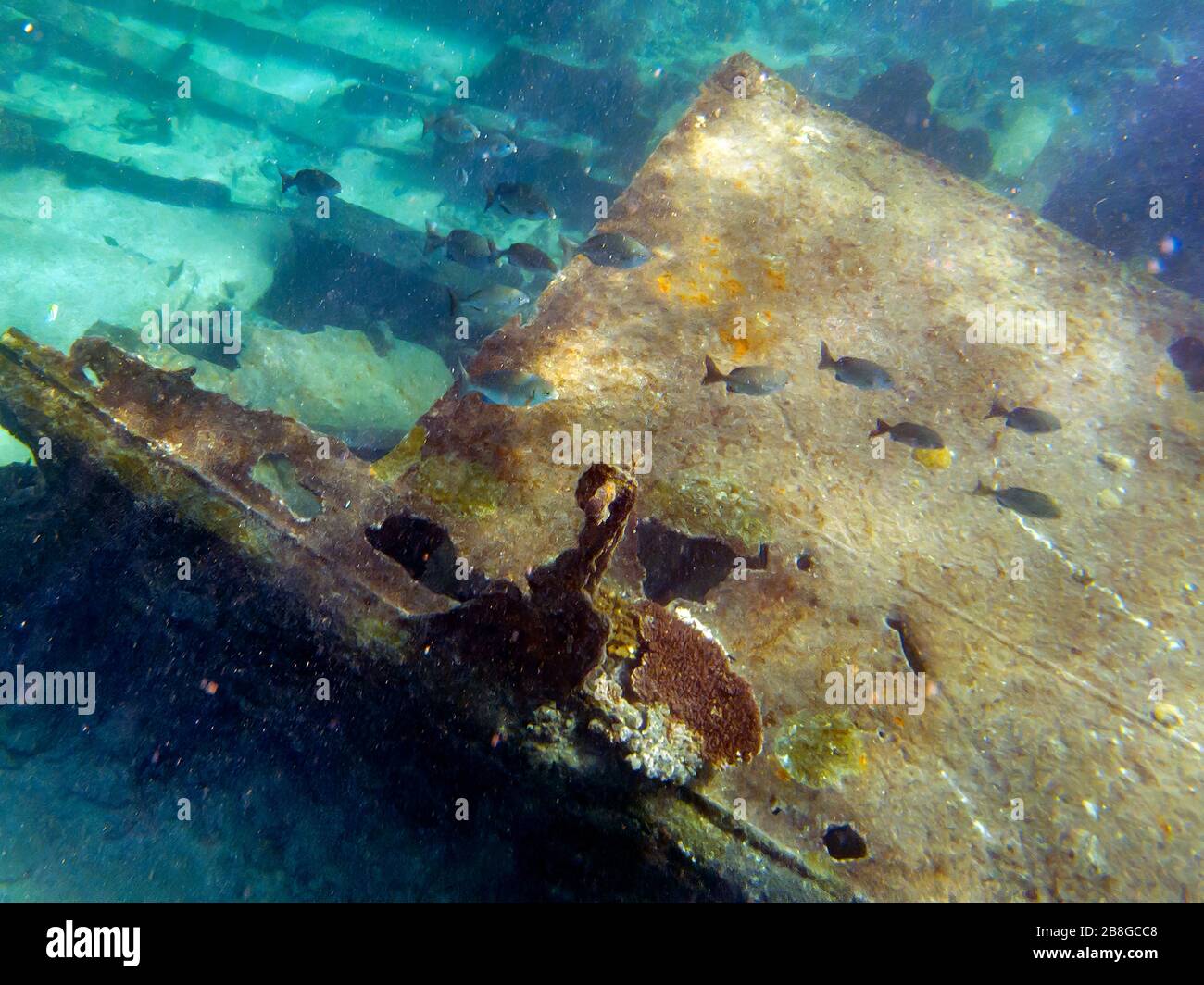 Wreck island hi-res stock photography and images - Alamy