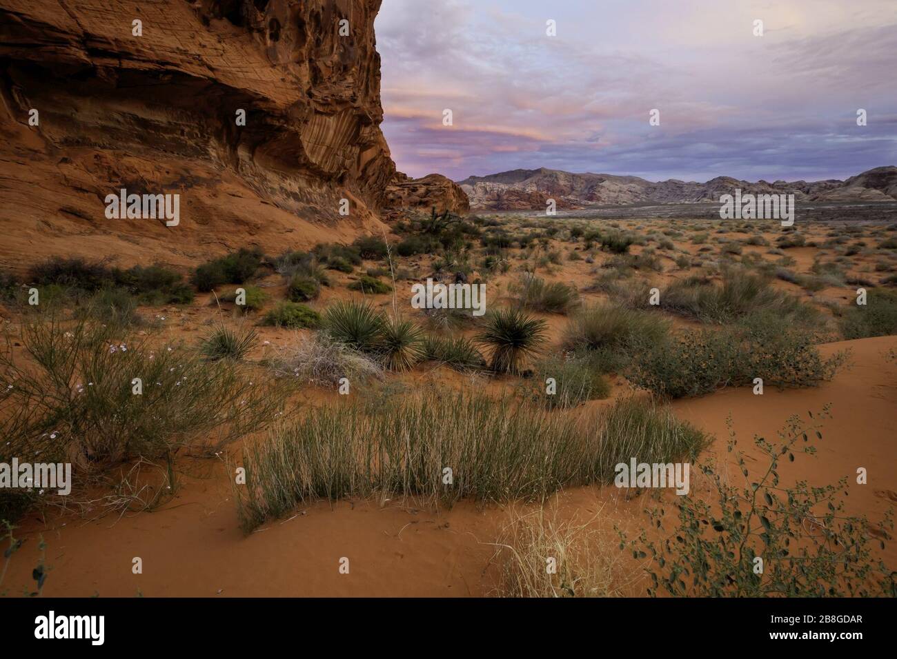 Gold Butte National Monument 3 Stock Photo - Alamy