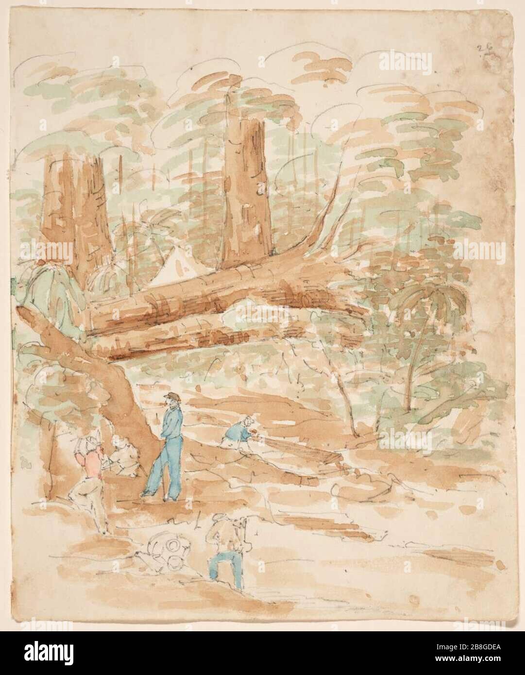 Gold mining, Driving Creek, Coromandel. B-182-008 Stock Photo - Alamy