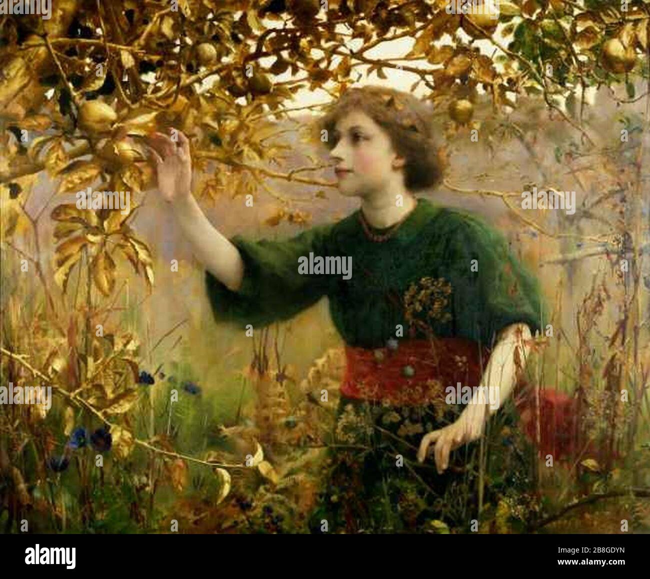 Goldendream hi-res stock photography and images - Alamy