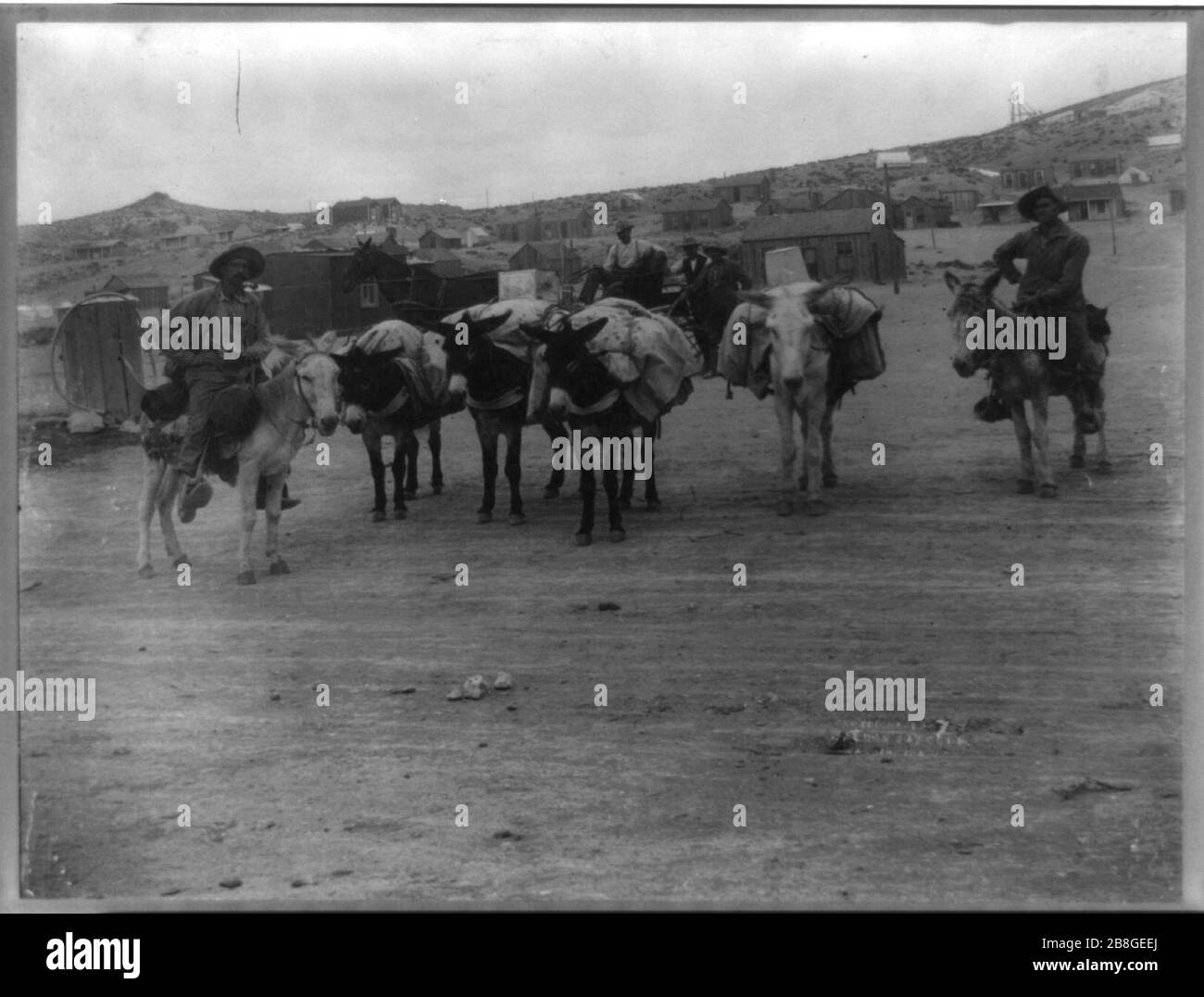 Goldfield history hi-res stock photography and images - Alamy