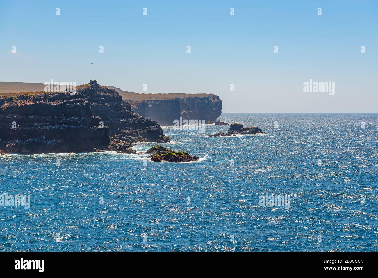 Landscape of the cliffs by Punta Suarez on Espanola island, a famous ...