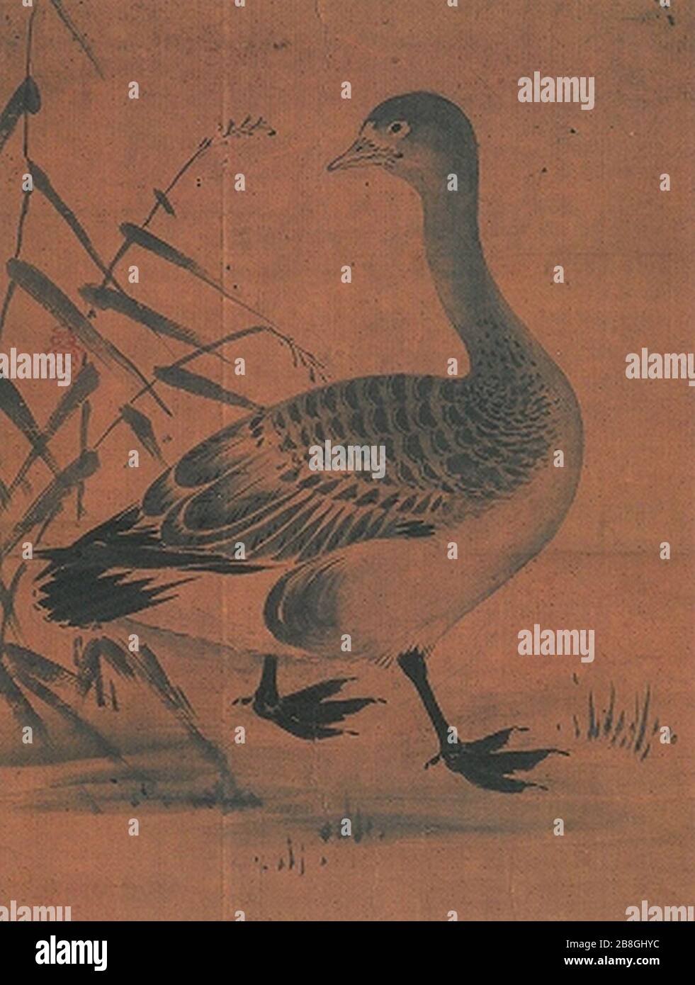 Kahoku hi-res stock photography and images - Alamy