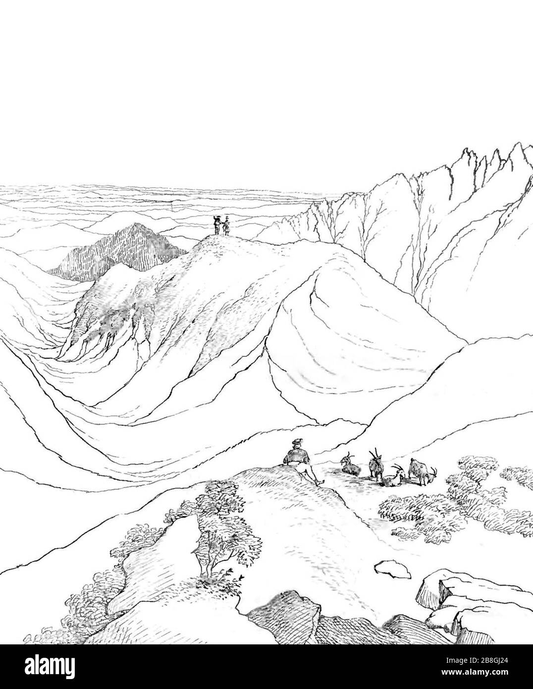 Kopa any Cut Out Stock Images & Pictures - Alamy