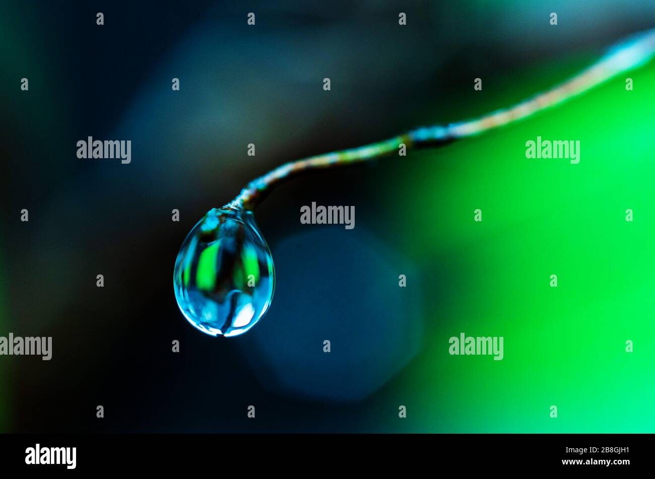 Free download hi-res stock photography and images - Alamy