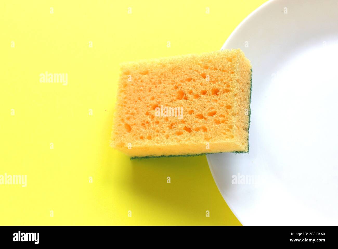 means for washing dishes and sponges on a plate on a colored background ...