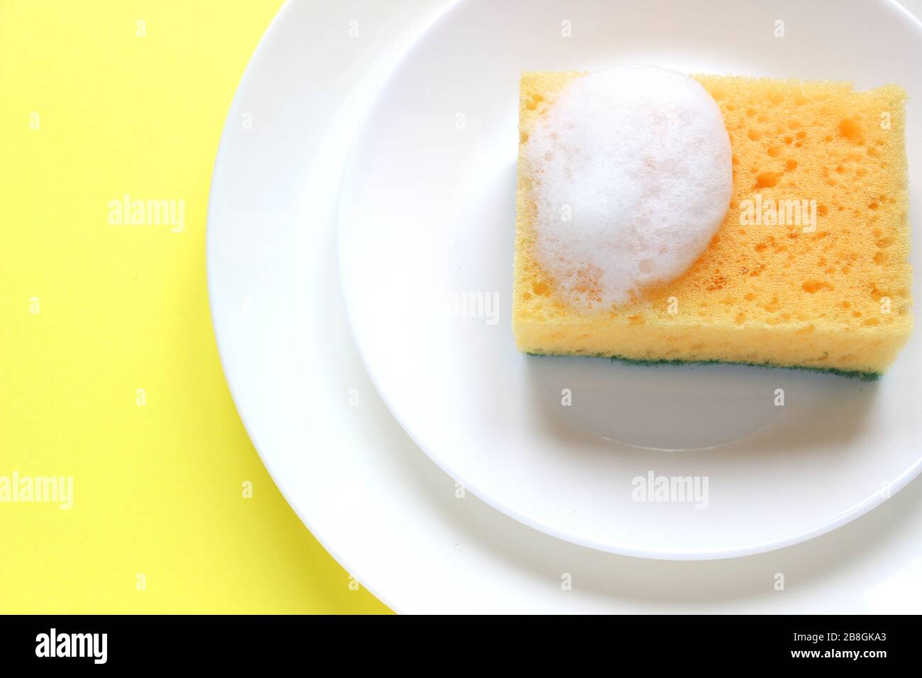 means for washing dishes and sponges on a plate on a colored background ...