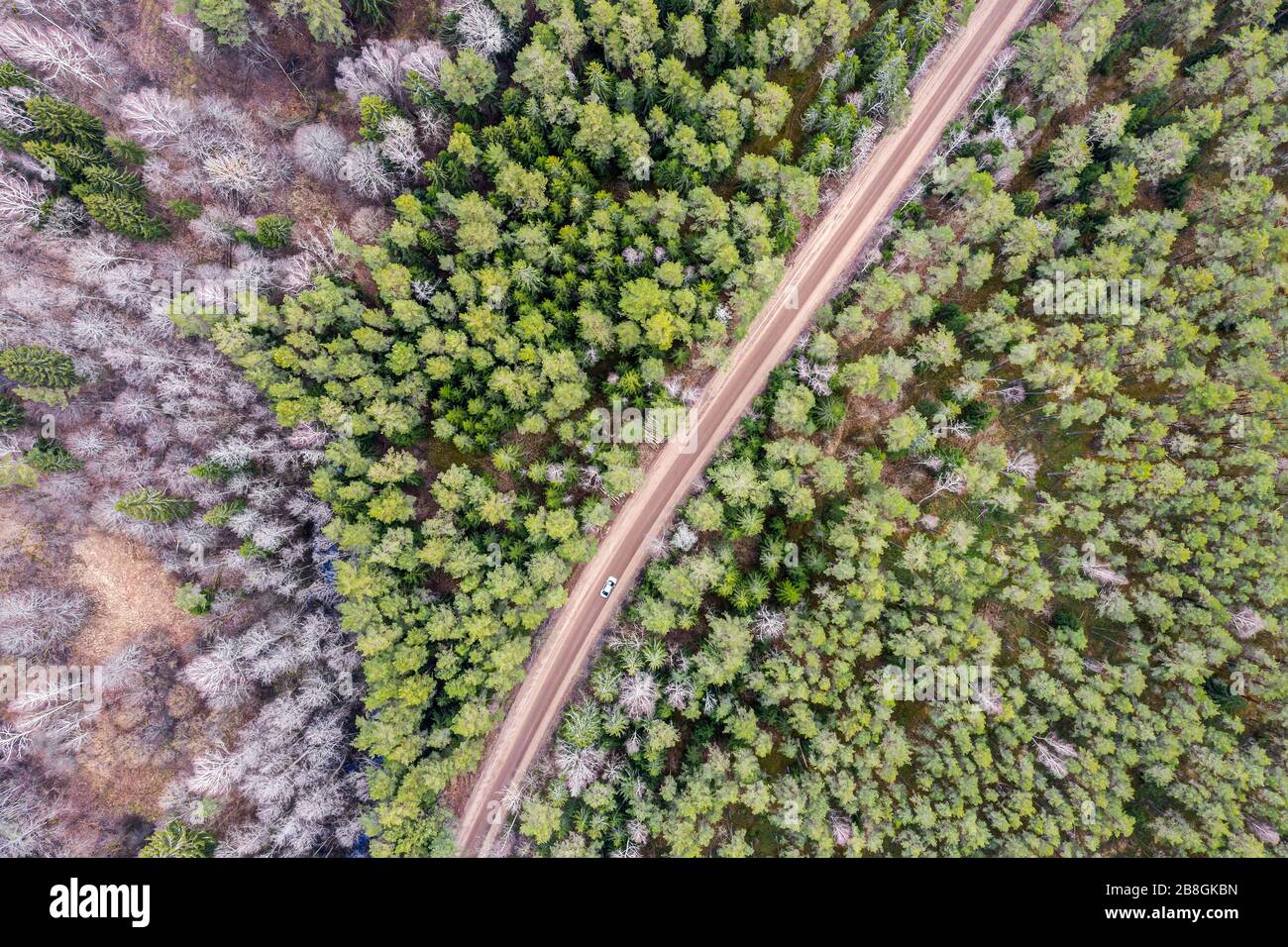 landscape in cloudy spring day with spring forest and dirt road. aerial ...