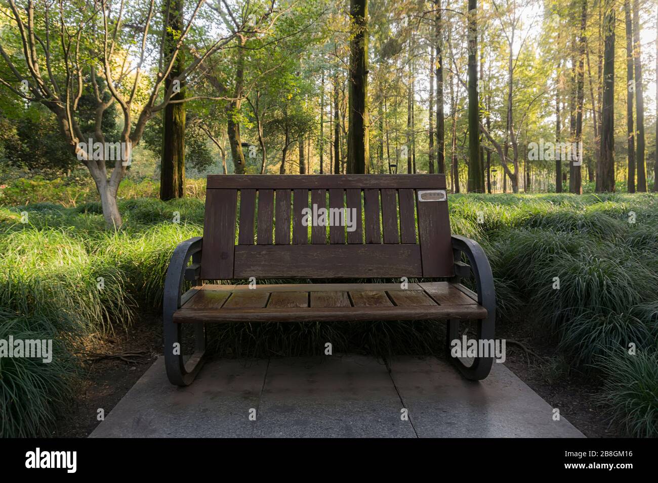 Forest Hangzhou West Lake, Zhejiang Hangzhou Stock Photo - Alamy