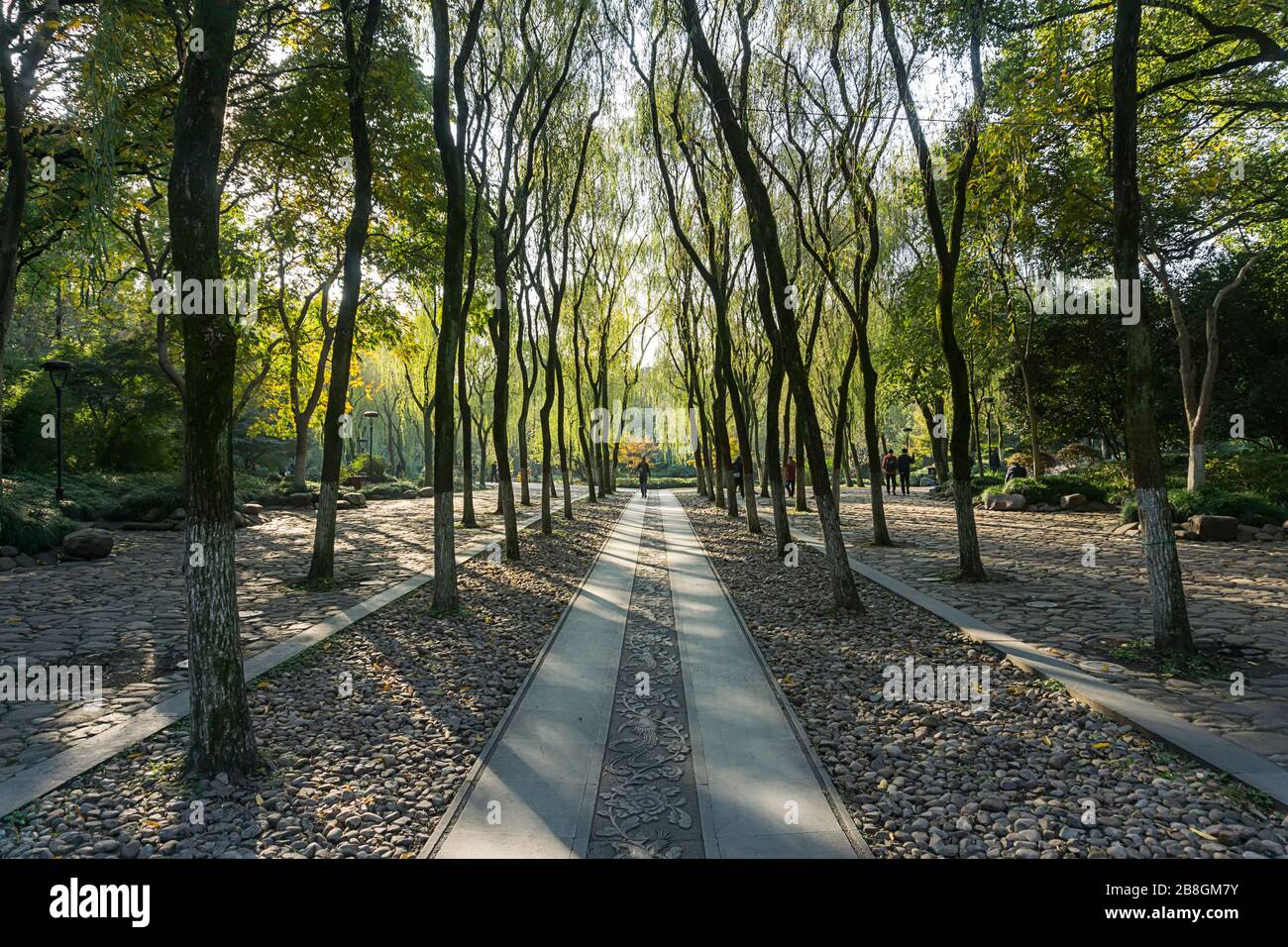 Forest Hangzhou West Lake, Zhejiang Hangzhou Stock Photo - Alamy