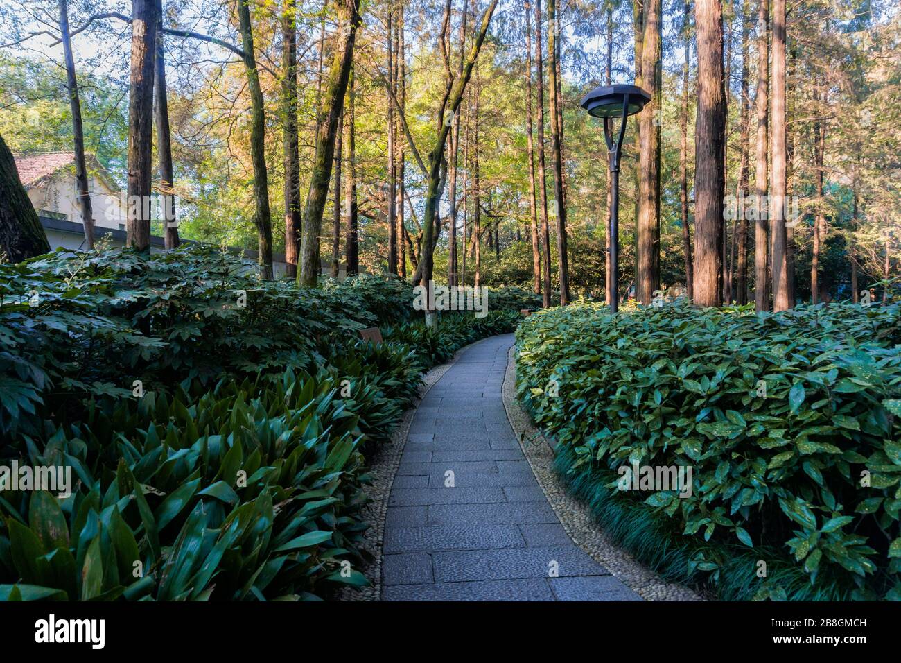 Forest Hangzhou West Lake, Zhejiang Hangzhou Stock Photo - Alamy