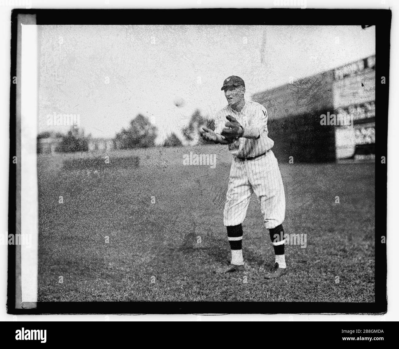 Goslin hi-res stock photography and images - Alamy