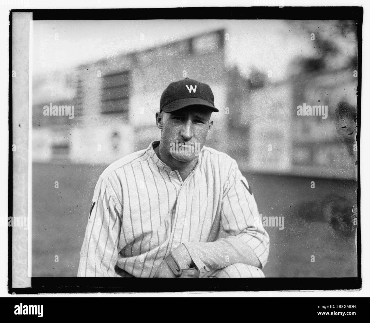 Goslin hi-res stock photography and images - Alamy